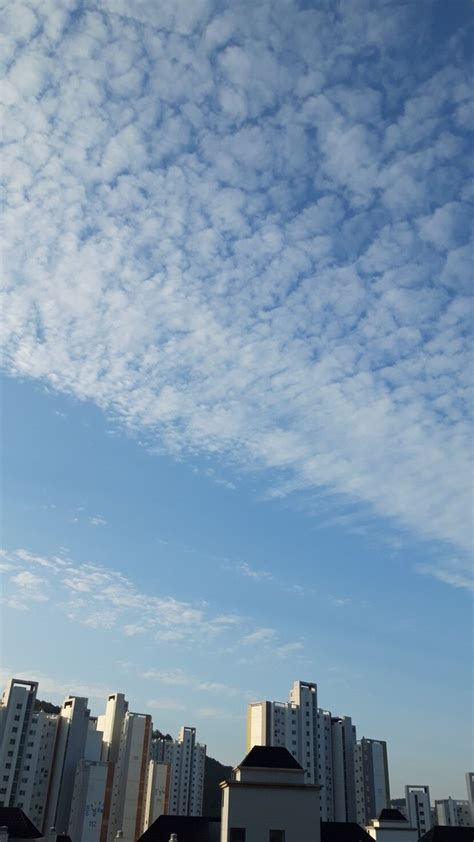 오늘 아침~하늘은 높고 자연풍경 캐시피드