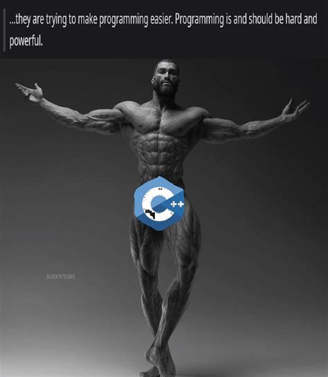 average c developer r programmerhumor