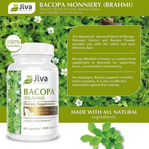 Jiva Botanicals Organic Bacopa Monnieri Capsules 300mg Extract For Brain Health Memory