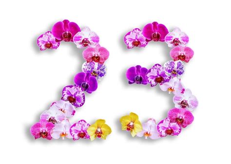 Premium Photo The Shape Of The Number 23 Is Made Of Various Kinds Of