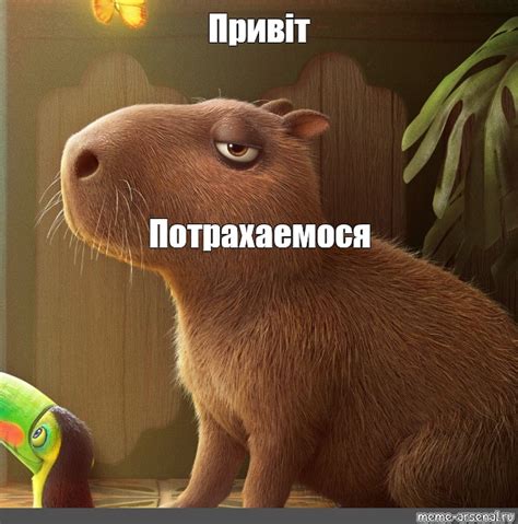 Мем Привіт Потрахаемося Все шаблоны Meme