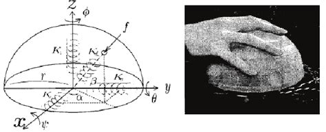 The Softness Haptic Display Device Based On Elastic Body Download Scientific Diagram