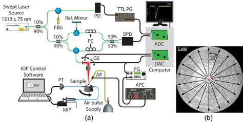 A OCE Experimental Setup ADC Analog To Digital Converter AP Download Scientific Diagram