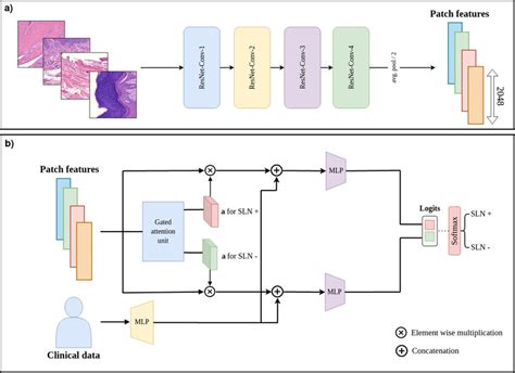 model s feature extractor a and classification module b download
