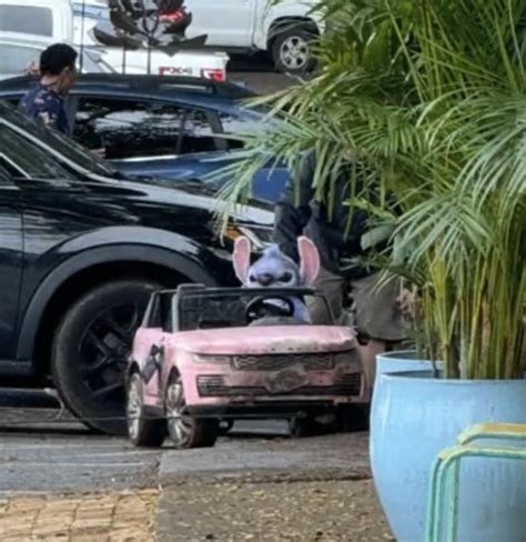 Lilo Stitch Live Action Movie Stitch Spotted In Hawaii In New Set Photos