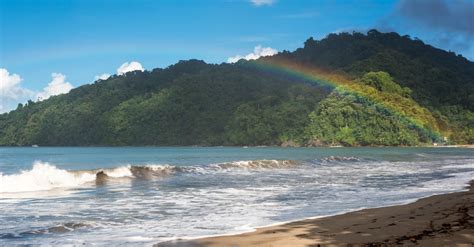 경치가 좋은 고요한 그림 같은 나무 나뭇잎 따뜻함 모래 목가적인 무성한 무지개 무지개 색깔 물 바다 북미 손을 흔들다 야외에서 언덕 여행