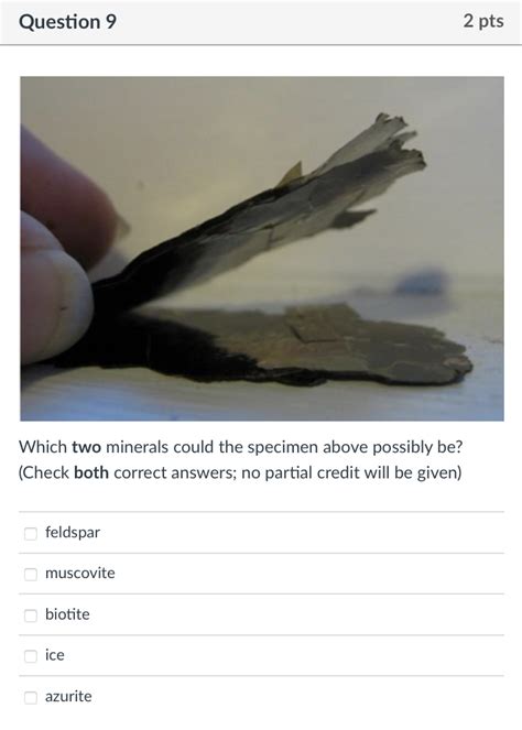 Solved Question 9 2 Pts Which Two Minerals Could The