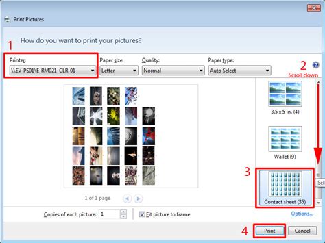 Digital Contact Sheets Digital Photography