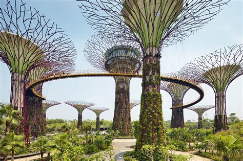 Gardens By The Bay Singapores Futuristic Green Space Go Guides