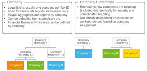 Workday Organization Tutorial The Only Hcm Course You Need