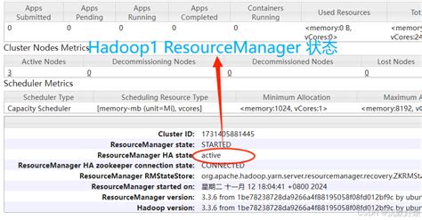 hadoop高可用集群部署（保姆级教程） hadoop高可用集群搭建 csdn博客