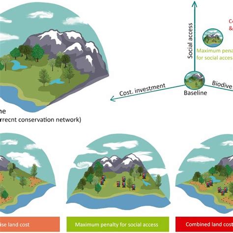 Representation Of The Conservation Prioritisation To Optimise The Download Scientific Diagram
