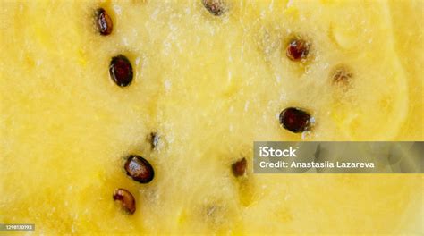 노란 수박을 클로즈업 배경 잘 익은 수박의 펄프 수박 질감 육즙이 잘 익은 수박 조각 열매 한 조각 0명에 대한 스톡 사진 및