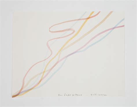 Bee Flight Patterns — Spencer Finch