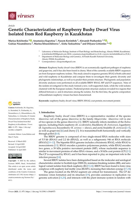 Pdf Genetic Characterization Of Raspberry Bushy Dwarf Virus Isolated From Red Raspberry In Pdf Genetic Characterization Of Raspberry Bushy Dwarf Virus Isolated From Red Raspberry In