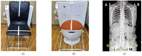 인체공학적 좌석이 척추와 골반 자세에 미치는 영향에 대한 생체역학적 비교연구 원추형 진자 스툴과 반강성 유연 등받이 의자