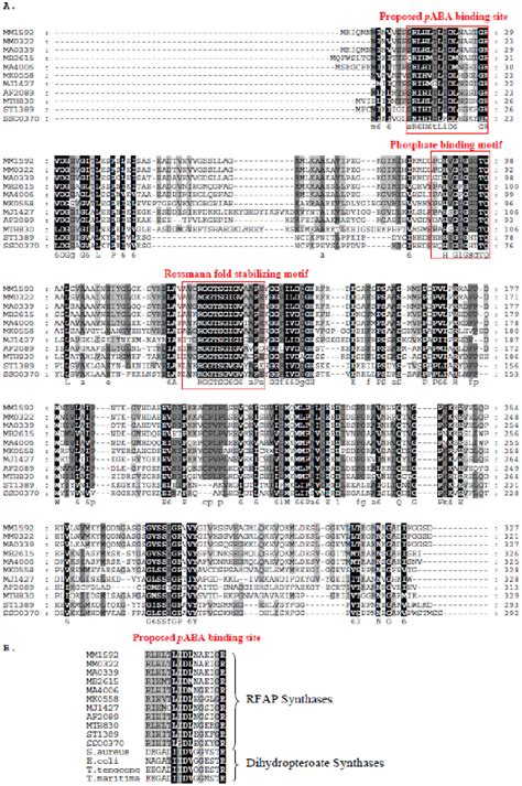 Purification Kinetic Characterization And Site Directed Mutagenesis Of Methanothermobacter