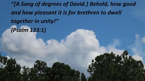 The Excellency Of Brotherly Unity Only Life Changes