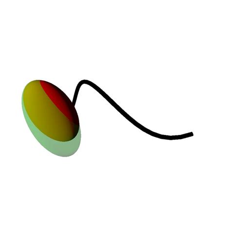 an implicitly defined space curve download scientific diagram