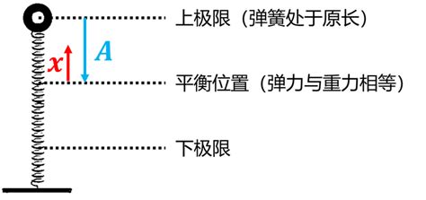 高中物理竖直放置弹簧振子平衡位置在哪？ 知乎