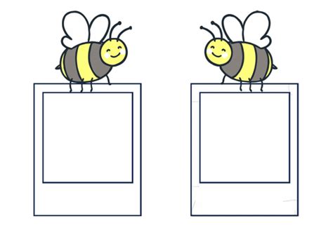 Bee Display Teaching Resources