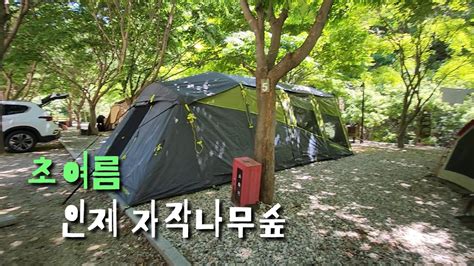 초여름 답사 캠핑 • 계곡 그늘 풍경 모든게 완벽해 Youtube