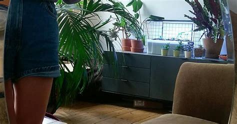 Mirror Album On Imgur