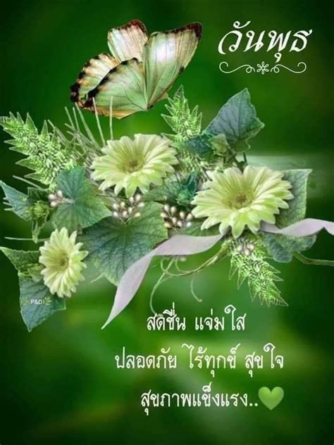 Pin By Pt On 03 Happy Wednesday In Thai Alice And Wonderland Quotes