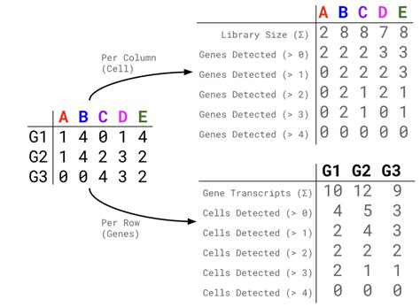 一文读懂scrna Seq数据分析（建议收藏） Csdn博客