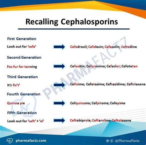 Cephalosporins Generation Understanding Cefaclor