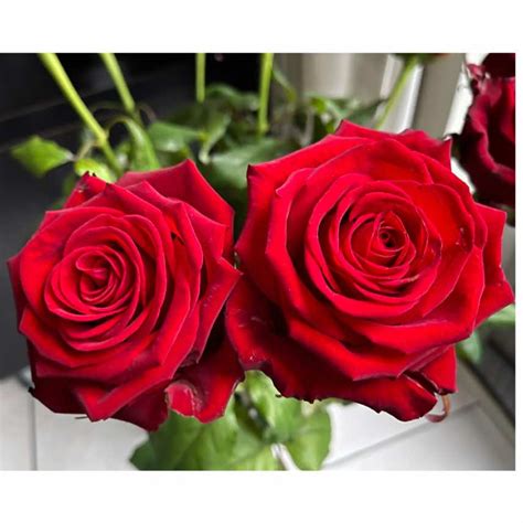 Wifi Connection Issues