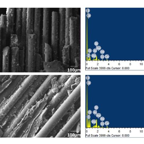 Mass Gain Rate Results For 6 8 And 10 Mm Seawater Treated Gfrp Composites Download