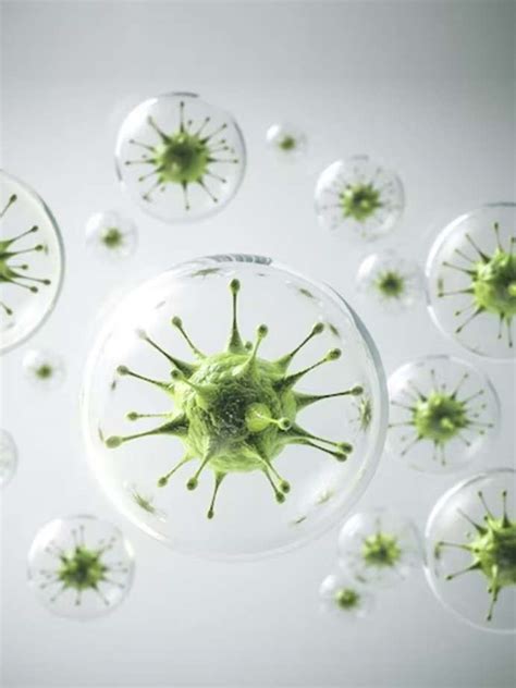 क्या है निपाह वायरस जानें लक्षण कारण व बचाव के तरीके