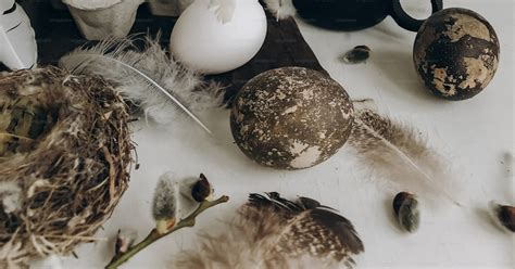 자연 부활절 달걀 깃털 음부 버드 나무 가지 둥지와 흰색 오래된 테이블에 소박한 천에 촛불 세련된 시골 부활절 정물