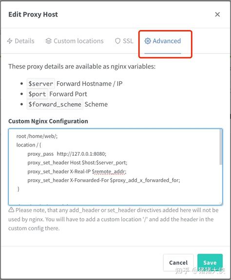 使用nginx Proxy Managernpm 来自动更新ssl证书与springboot服务代理转发 知乎