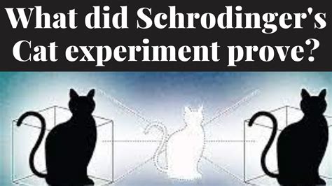 What Did Schrodingers Cat Experiment Prove Youtube