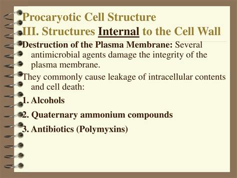 Ppt Chapter 4 Functional Anatomy Of Procaryotic And Eucaryotic Cells Powerpoint Presentation