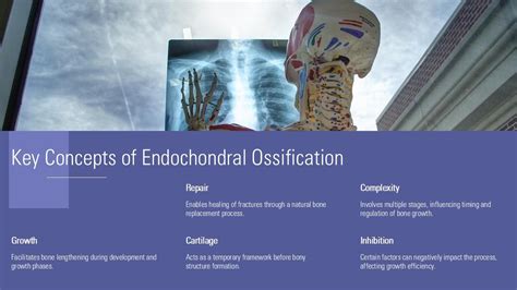 Key Concepts Of Endochondral Ossification Ppt Presentation Acp Ppt Powerpoint
