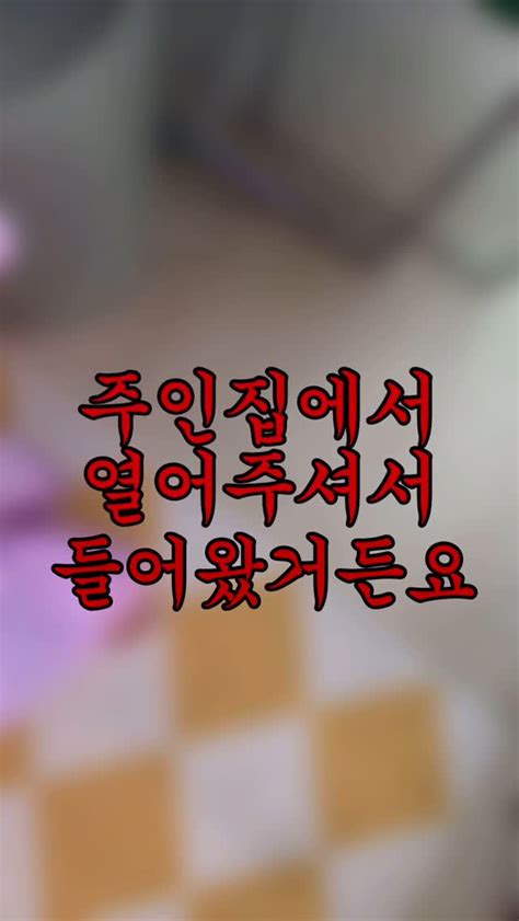 색감가득 굥하우스 이진경 오랜만에 돌아온 집 구경 룸투어 영상 업로드 완💛 그것도 너무 너무 포근하고 귀여운 일상을 공유중이신 일상 유튜버 강쥐님의 Kxngg