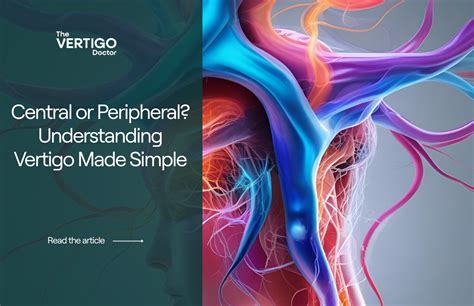 2 How Does The Vestibular System Work The Vertigo Doctor