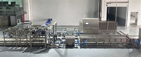 Rigid Container Loading And Unloading System Sumpot