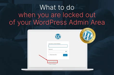 What To Do When You Are Locked Out Of Wordpress Admin Area Launch