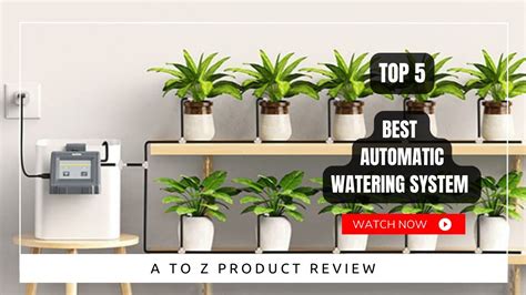 Best Self Watering System