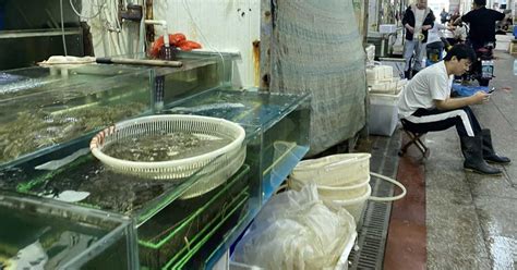 中国の消費者「海鮮離れ」 習政権の処理水批判で 産経ニュース
