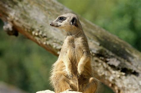 Building A MongoDB NoSQL E Commerce Data Model HackerNoon