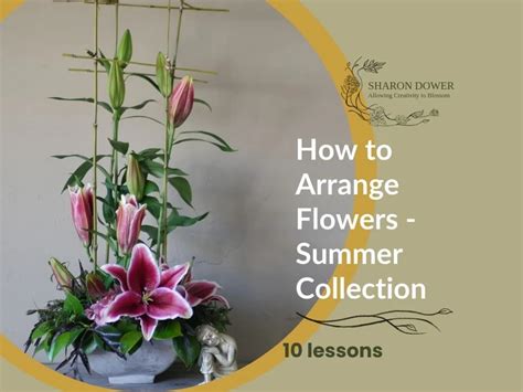 Online Courses Sharon Dower