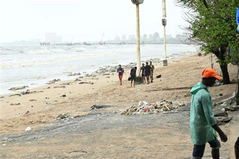우유에 대한 속설 진실 및 재미있는 사실