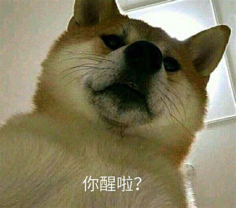 Dnf 血法玩家称自己才是超一线 策划“有这个职业吗 ”下水道