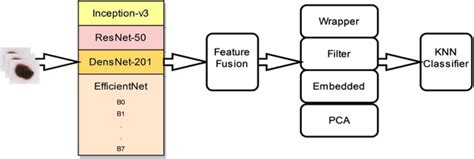 Overall Workflow Of The Proposed Framework Download Scientific Diagram