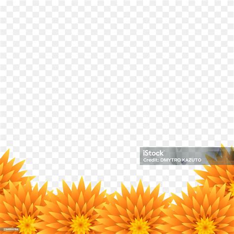 꽃 테두리입니다 벡터 일러스트 레이 션은 투명 한 배경에 고립되어 있습니다 0명에 대한 스톡 벡터 아트 및 기타 이미지 0명 3월 3차원 형태 Istock